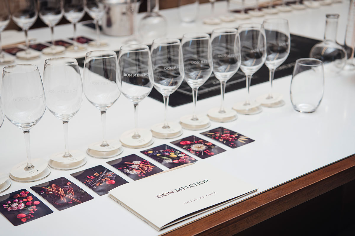 New Don Melchor Experiences: unforgettable moments around wine - Don ...