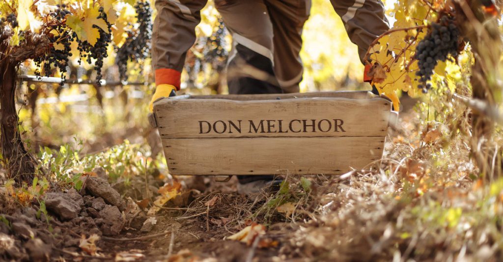 Armonía y elegancia, el sello de Don Melchor 2021 - Don Melchor