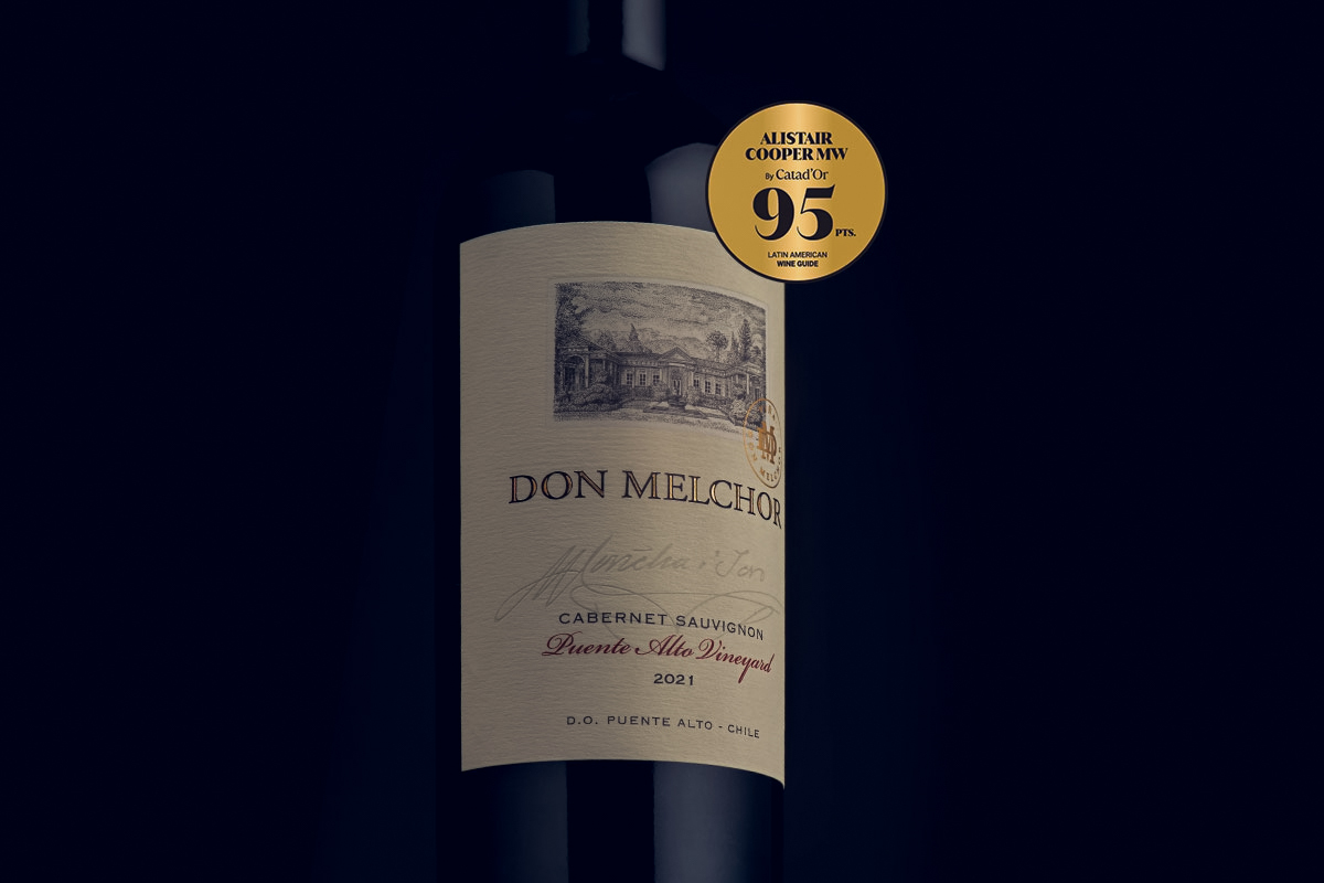 Don Melchor 2021 recibe 95 puntos en la Guía de Vinos de Alistair ...